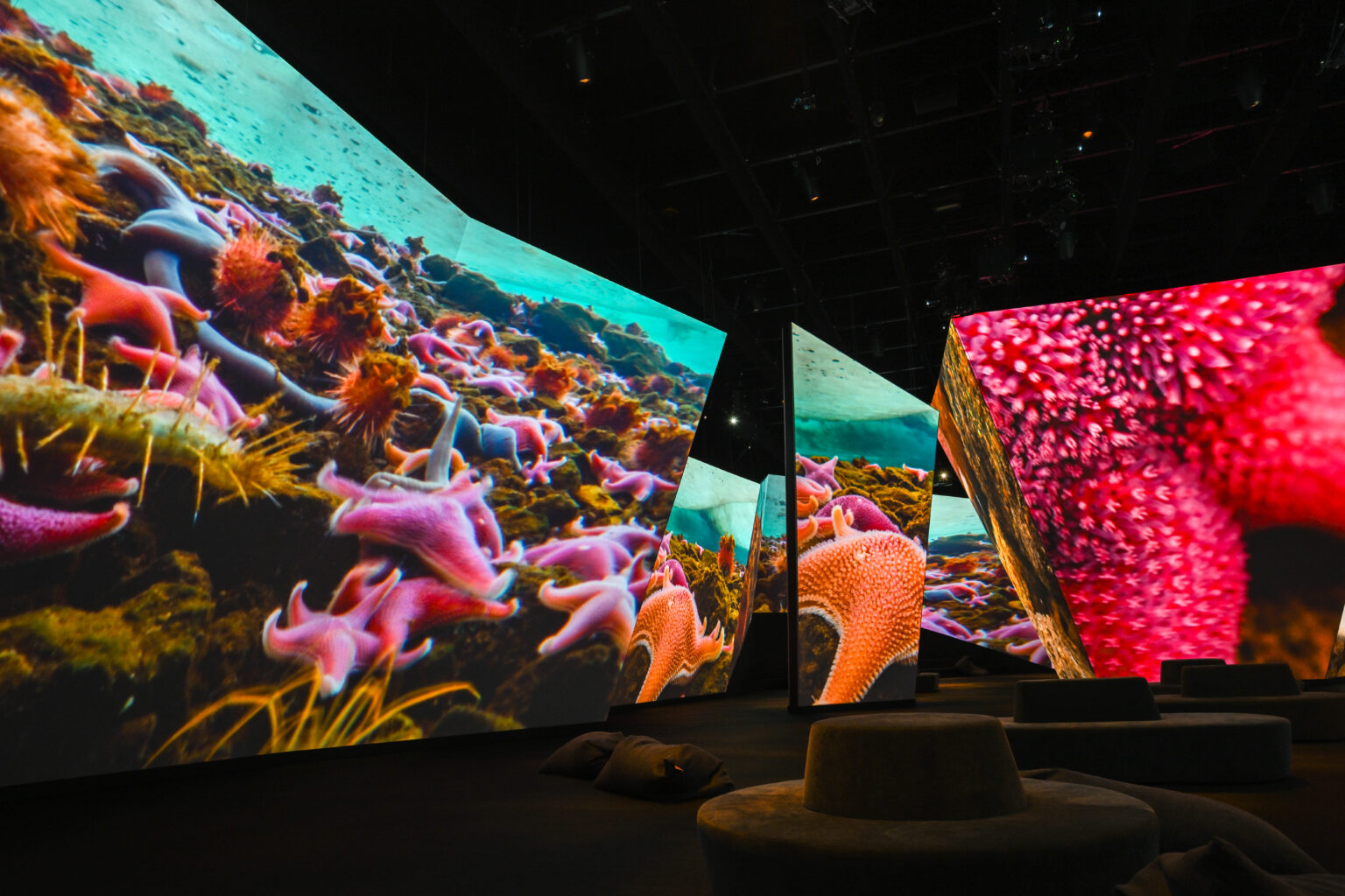 Journey through the seven continents in one incredible experience | BBC ...