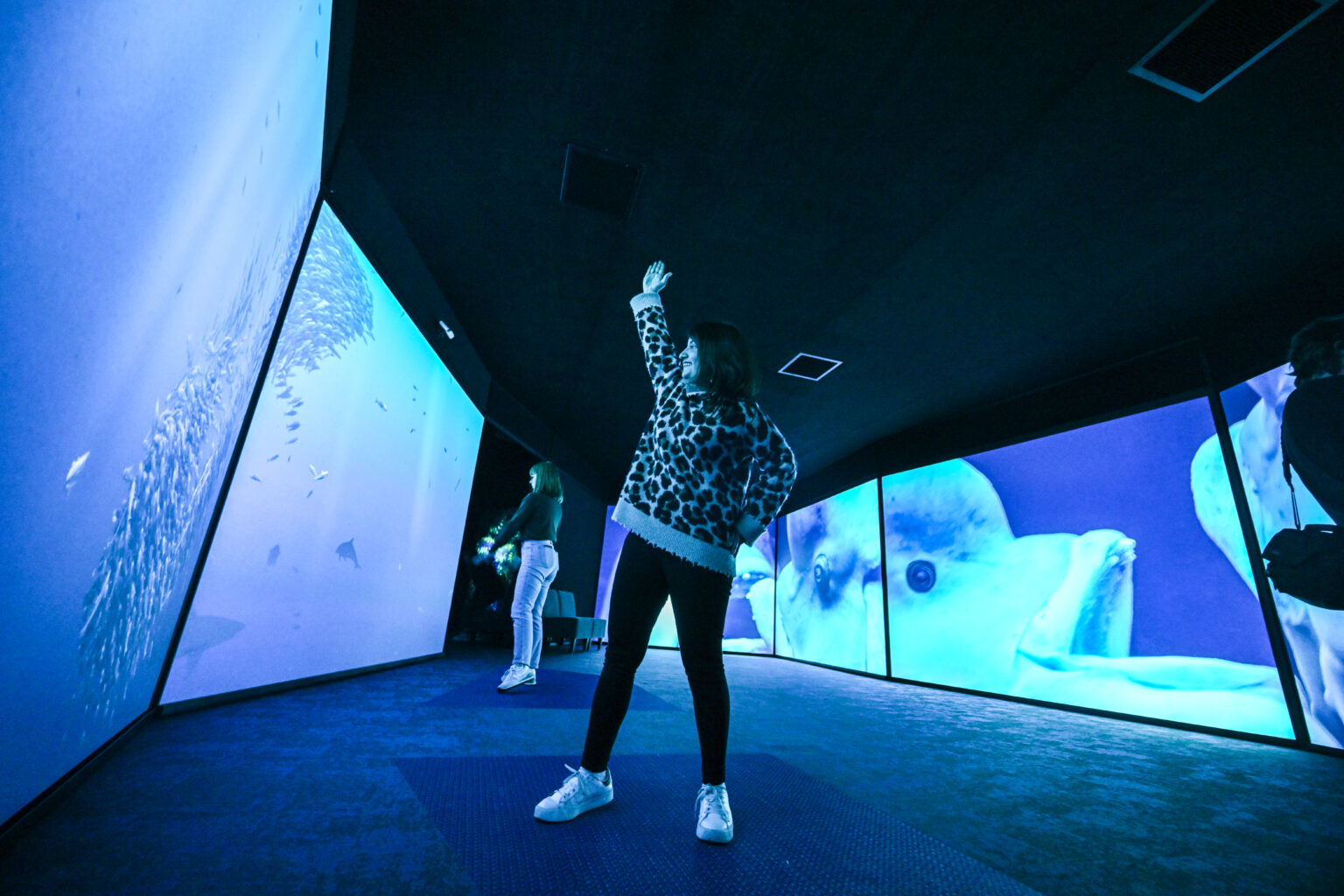 Journey through the seven continents in one incredible experience | BBC ...