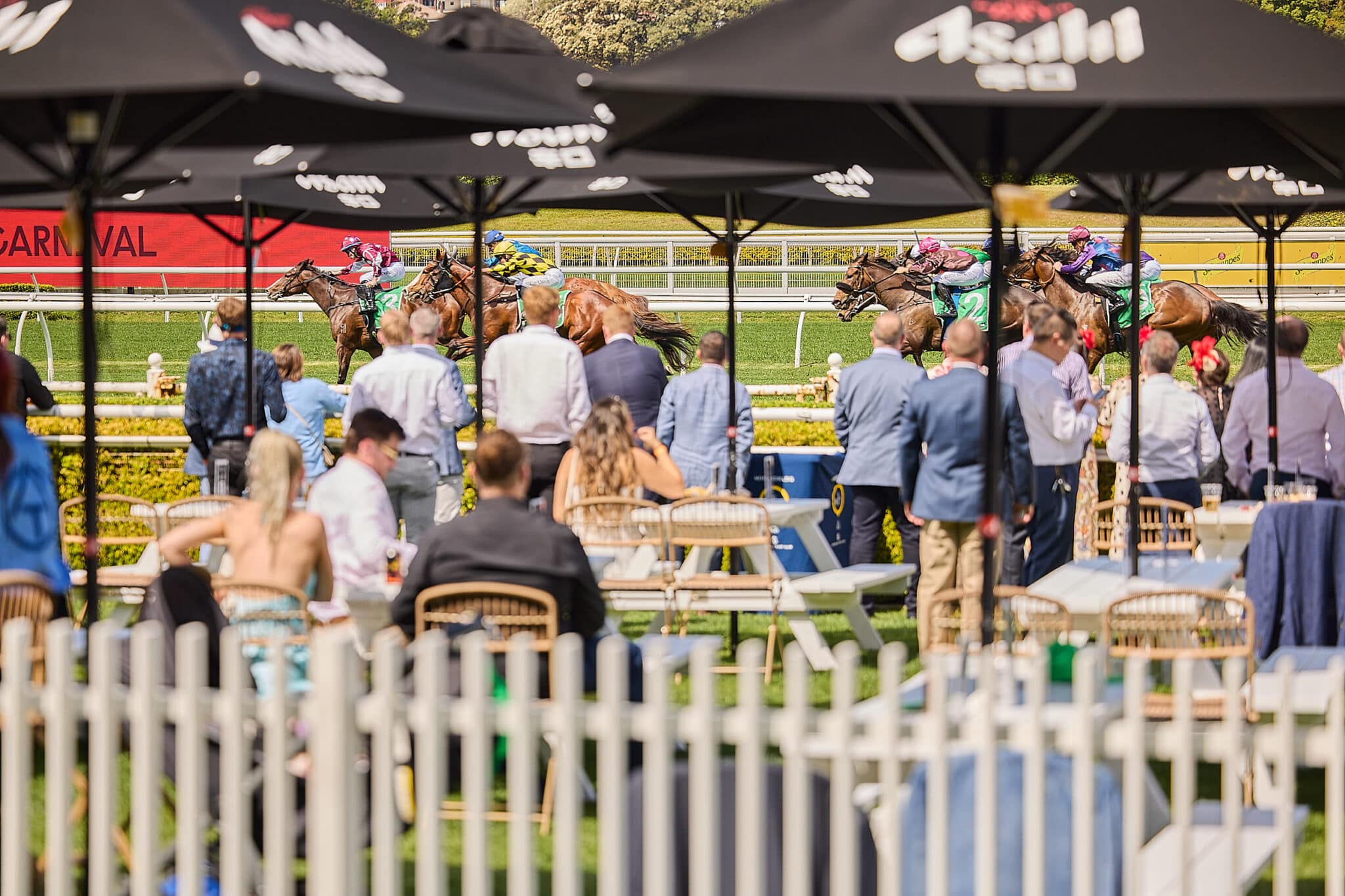Expect it all this spring with the Sydney Everest Carnival ...